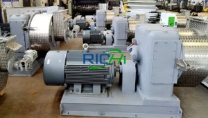 Sawdust Pellet Machine For Sale - RICHI Pelletizer