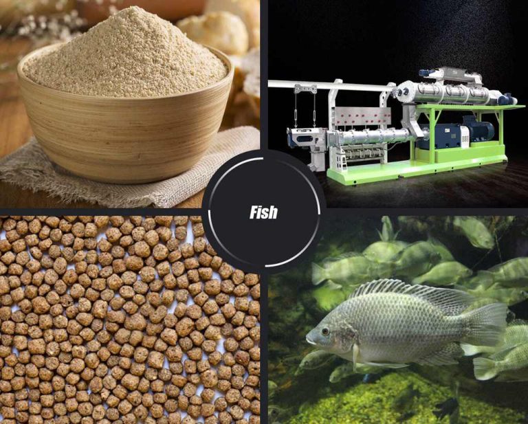 Various Capacity Of Fish Feed Production Line With Best Price - RICHI ...