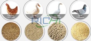 Poultry Feed Production Line For Poultry, Chicken, Duck, Birds - RICHI ...