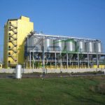 Shrimp Feed Pellet Machine Over 40 Years Of Experience - RICHI Pelletizer