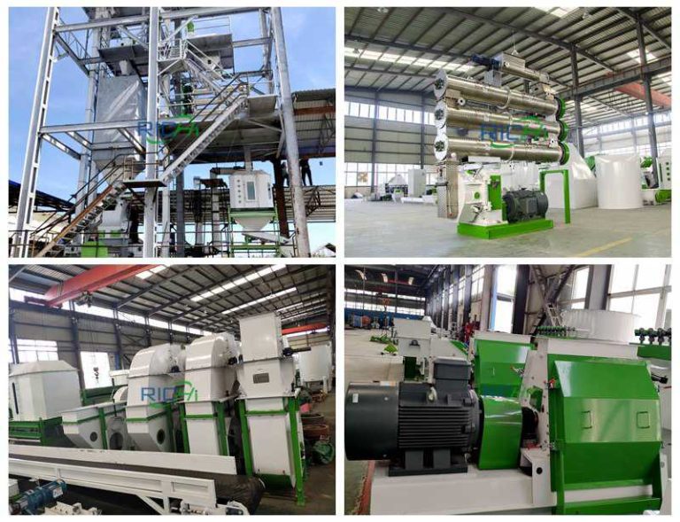 Shrimp Feed Pellet Machine Over 40 Years Of Experience - RICHI Pelletizer