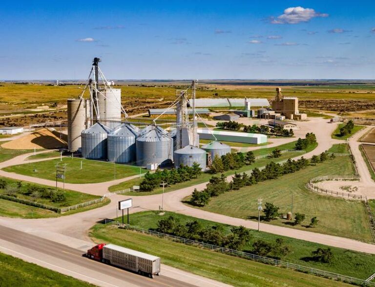 Complete Animal Feed Production Line With Capacity Of 1-100T/H - RICHI ...