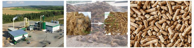 EFB Pellet Machine & EFB Pellet Plant Manufacturer - RICHI Pelletizer