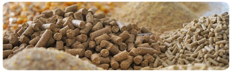 Customizable Premix Feed Mill With 1-60 T/H Production Capacity - RICHI ...