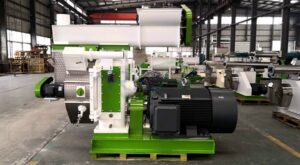 High Efficiency Paper Pellet Machine With Factory Price - RICHI Pelletizer