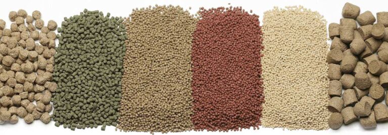 1-12 T/H High Efficiency Fish Pellet Machine Malaysia - RICHI Pelletizer