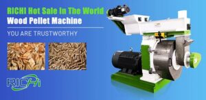 Wool & Organic Waste Pelletizing - Wool Pellet Machine For Sale - RICHI ...