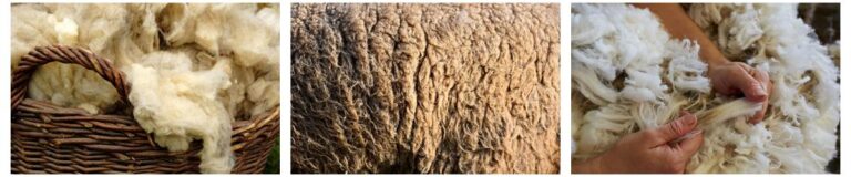 Sheep Wool Pelletizing - Wool Pellet Machine For Sale - RICHI Pelletizer