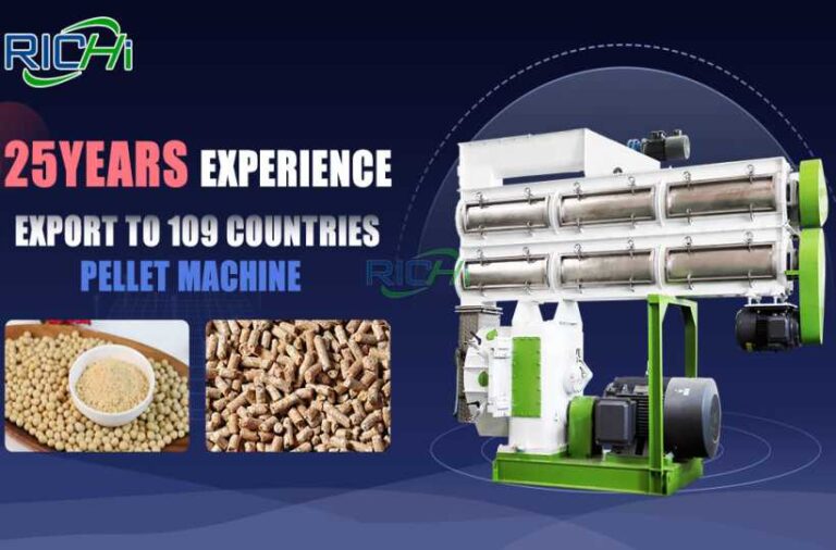 High Efficiency Livestock Feed Pellet Mill For Sale - RICHI Pelletizer