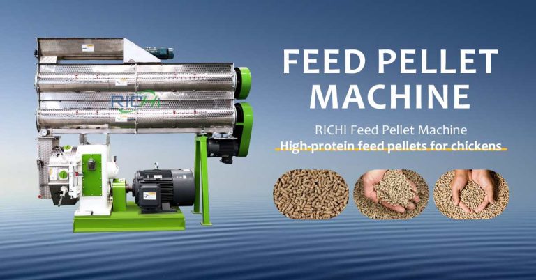 1-40 T/H Affordable Chicken Feed Making Machine Price - RICHI Pelletizer