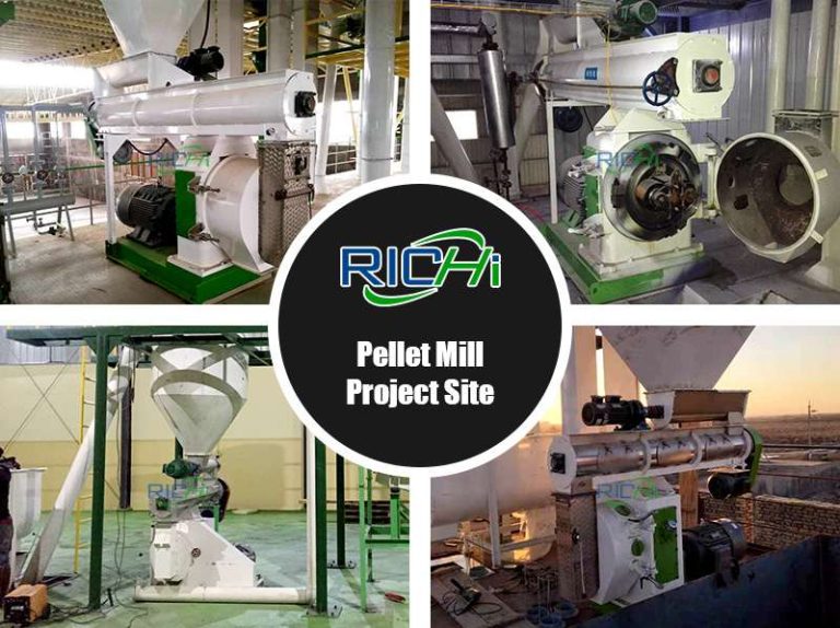 Affordable Pellet Press For Sale UK - RICHI Pelletizer