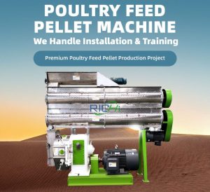 Poultry Feed Pellet Machine Price And Project Solutions - RICHI Pelletizer