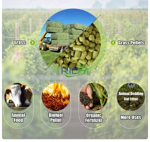 To Start Grass Pellet Production With Grass Pellet Mill - RICHI Pelletizer