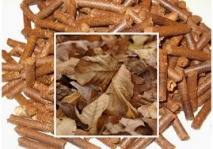 Making Pellets From Leaves With Leaf Pellet Mill - RICHI Pelletizer